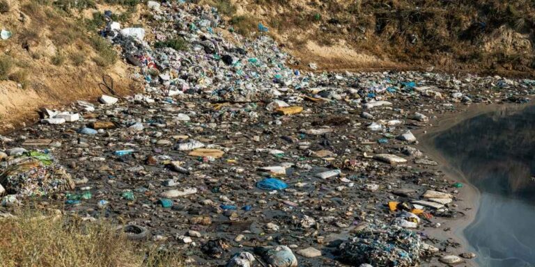 Global Garbage Crisis: Understanding the World's Waste Problem - The ...